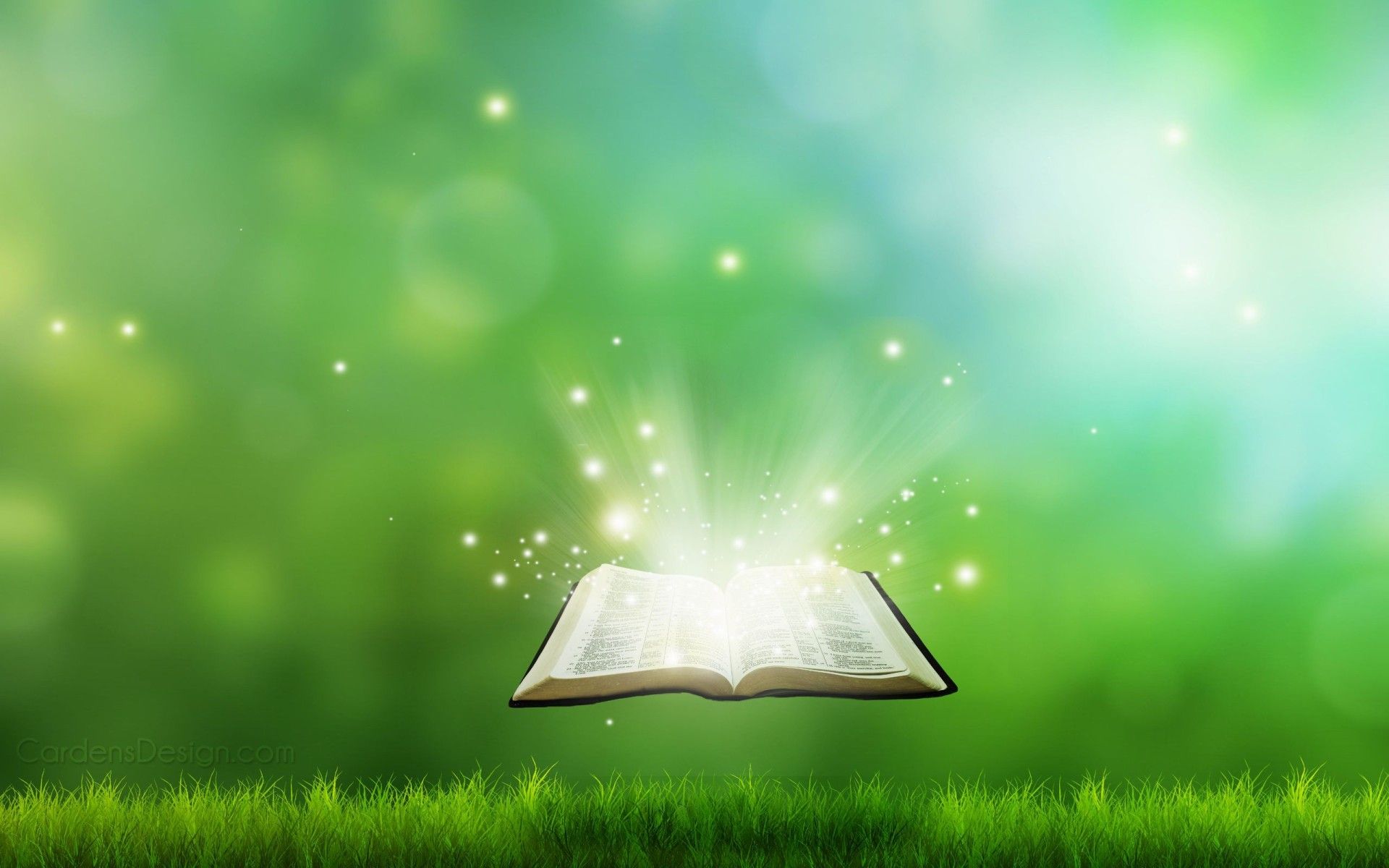 Forever Life International Ministries - Infinity Life Center